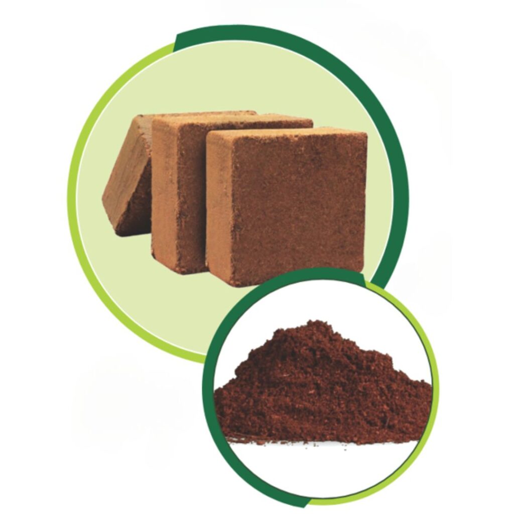 Aura Agro Exports - Coconut Exporters in Pollachi