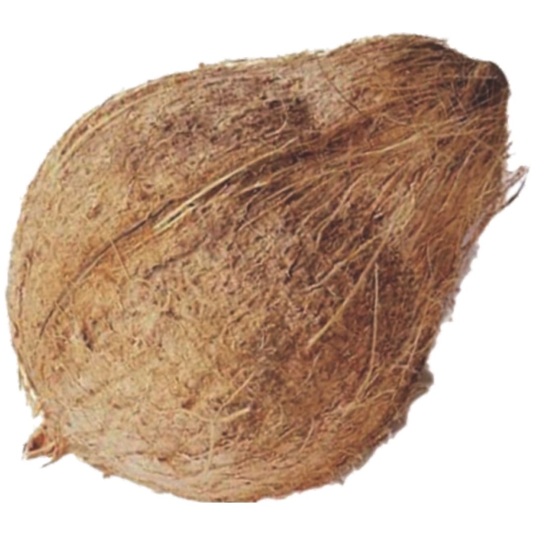 About – Aura Agro Exports