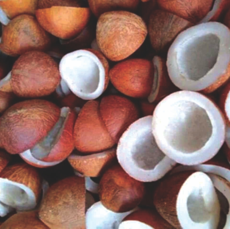 Products – Aura Agro Exports